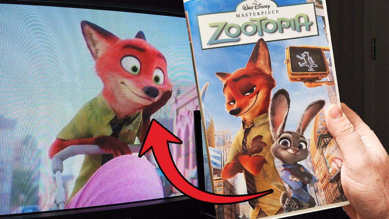Zootopia News Network – Zootopia's #1 News Network!