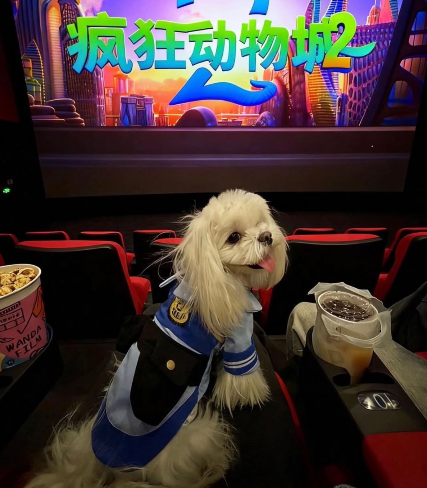Dogs in Zootopia?! Only in Certain Theaters! – Zootopia News Network